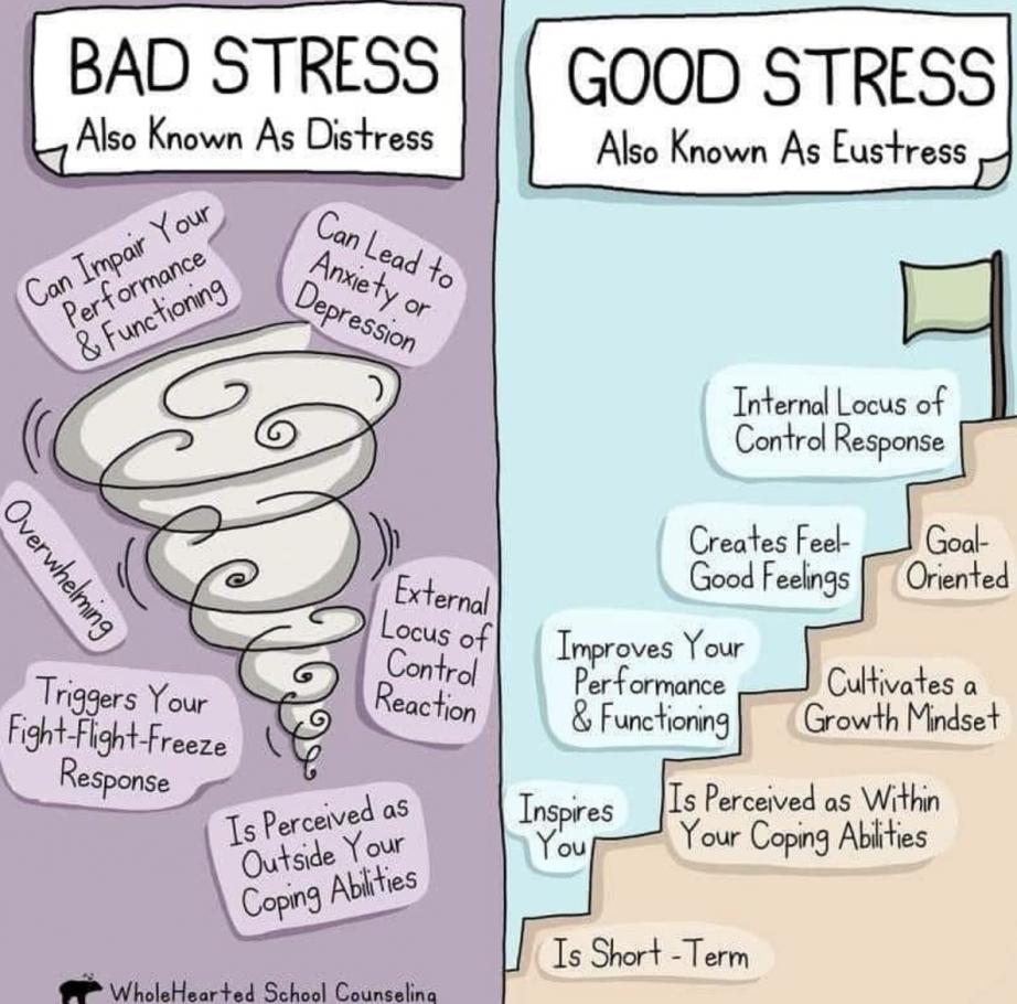 Bad stress…Vs Good stress